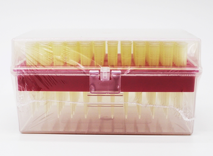 Pipette Tips, 200ul > Pipette Tips | 휴텍스